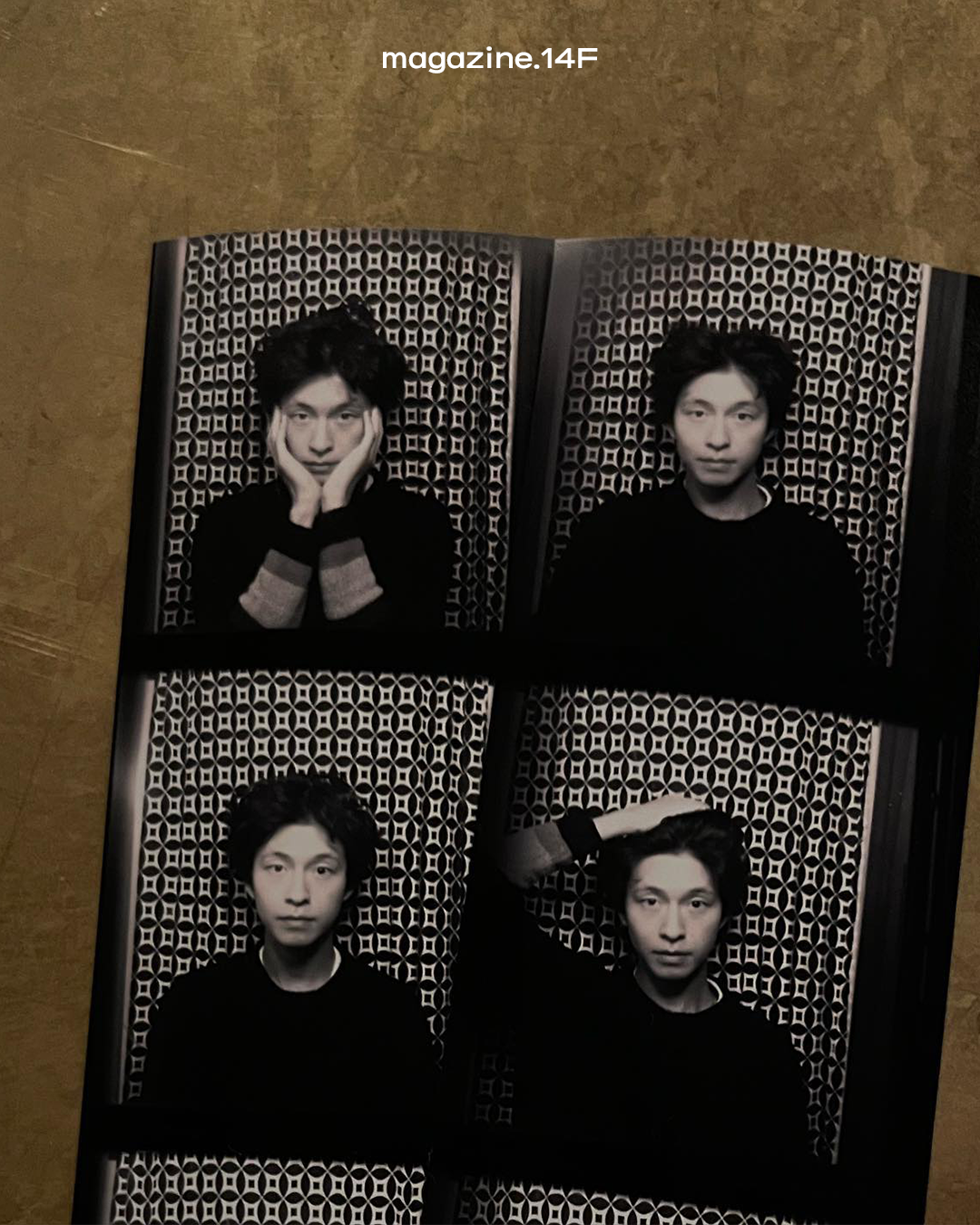 男友照大師洪京合輯 – 14F Newsletter